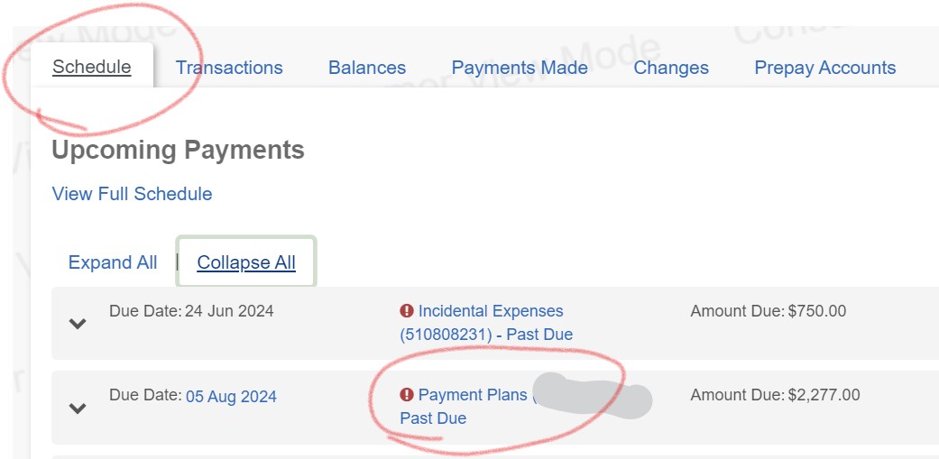 Education Scholarship Trust Fund and ClassWallet - Bob Jones Academy